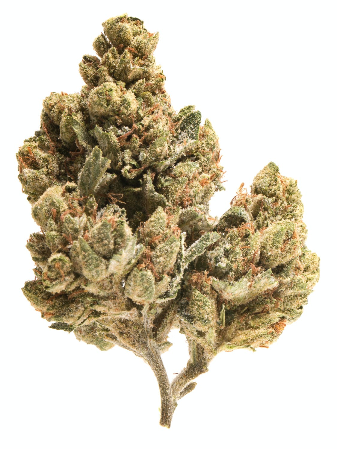 BOSS OG [Indica] — Sauce Cartridge (1000mg) | APE Premium Cannabis