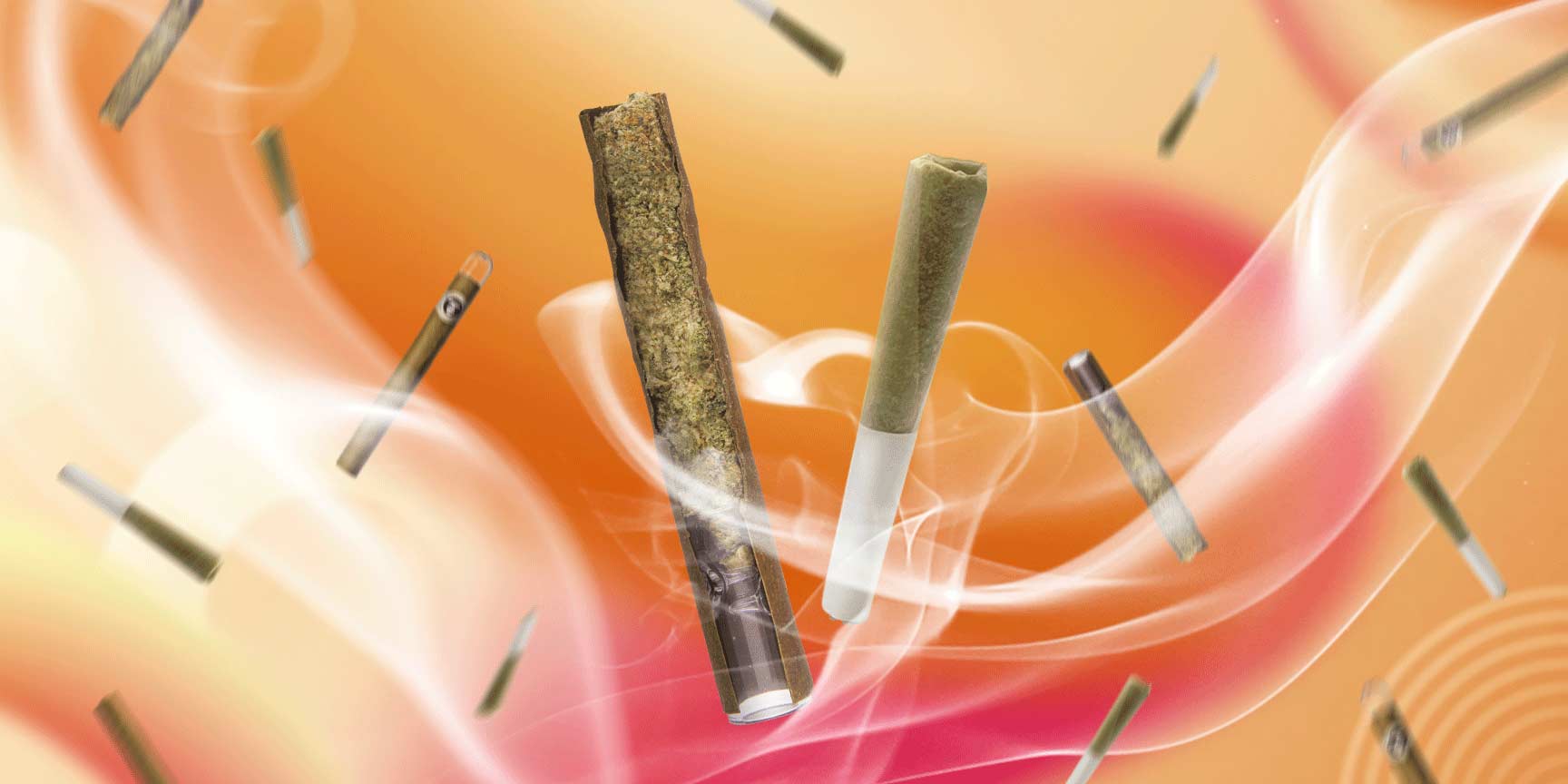 Blunts vs Joints — what's the difference between prerolls