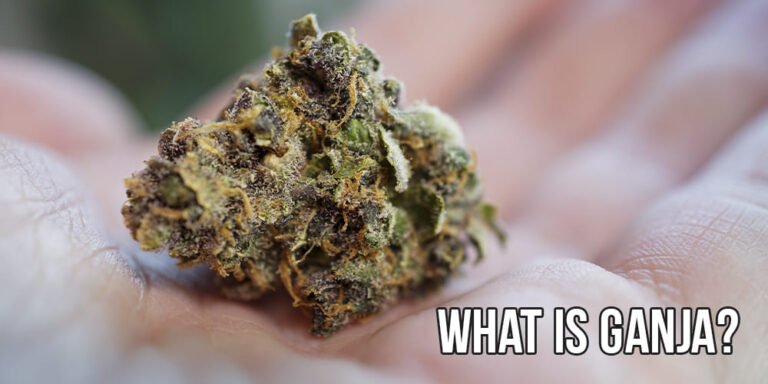 What is Ganja: Unveiling the Origins, Uses, and Culture of Cannabis ...