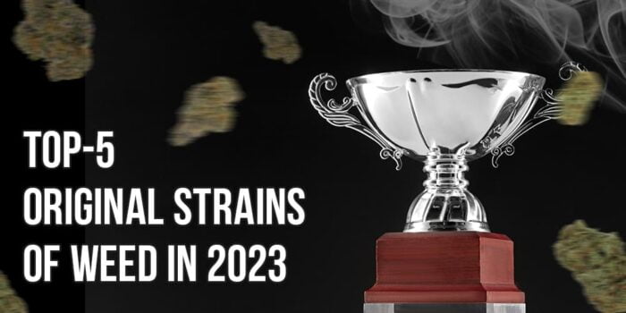 Top 5 original strains of weed in 2023 | APE Premium Cannabis