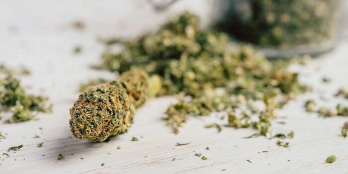 Weed Shakes: What Are They and What You Need to Know | APE Premium Cannabis