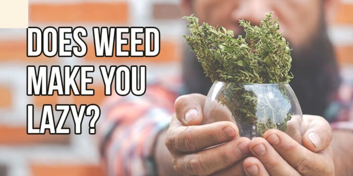 Weed makes you lazy? | APE Premium Cannabis