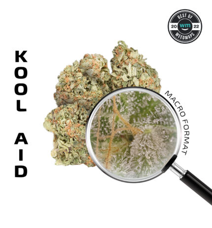 Kool Aid [Sativa-dominant] — Cannabis Flower (3.5g) | APE Premium Cannabis