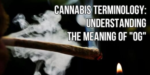 Cannabis Terminology: Understanding the Meaning of "OG" | APE Premium ...