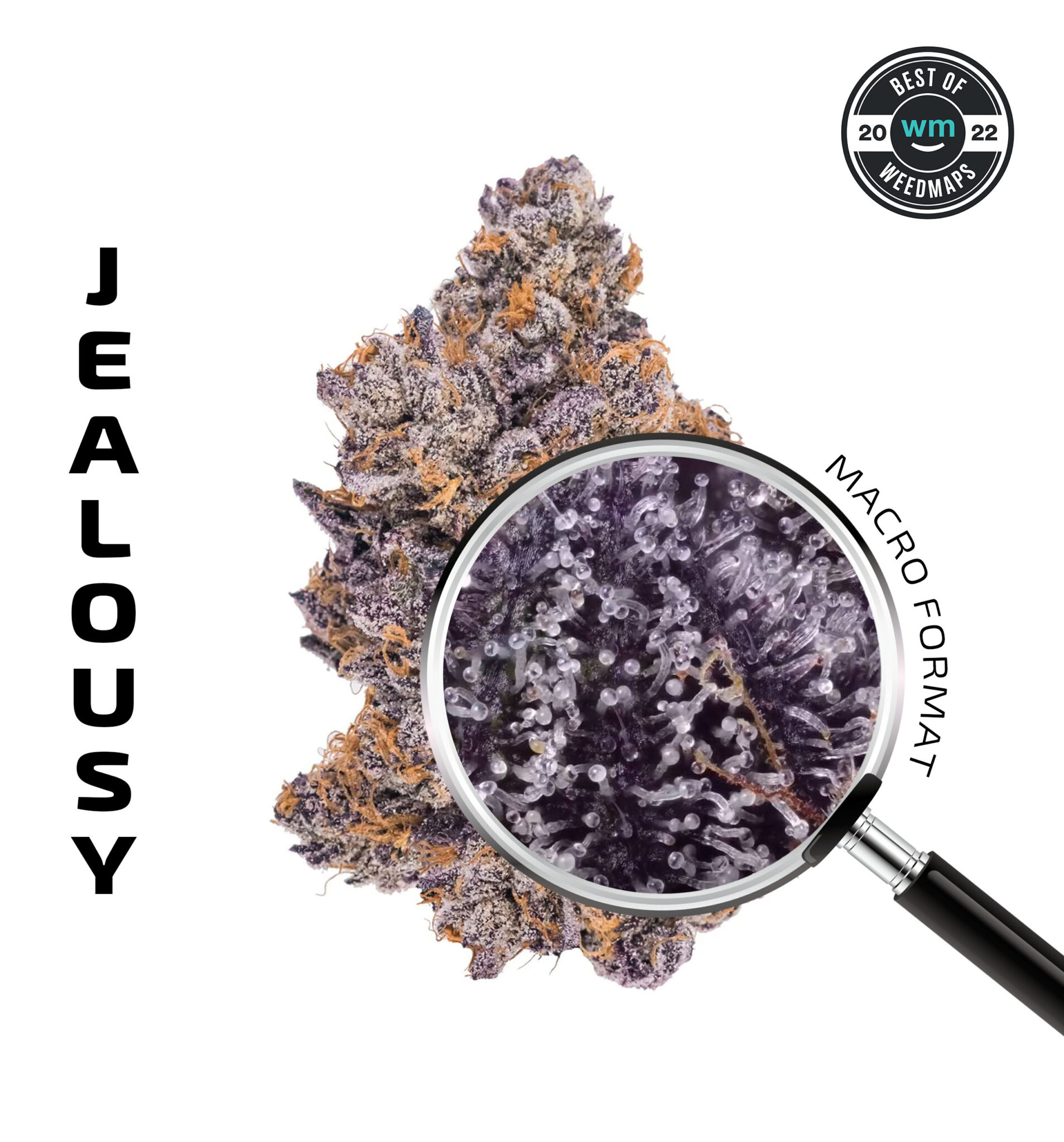 LSD Weed Strain: A Psychedelic Journey | APE Premium Cannabis