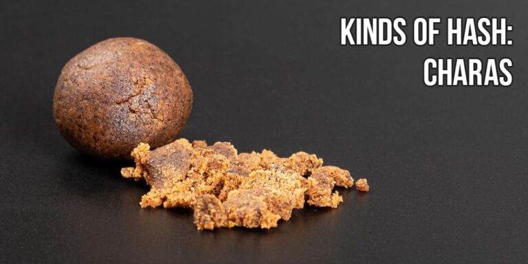 Kinds of Hash: Charas | APE Premium Cannabis