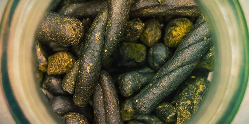 Kinds of Hash: Charas | APE Premium Cannabis