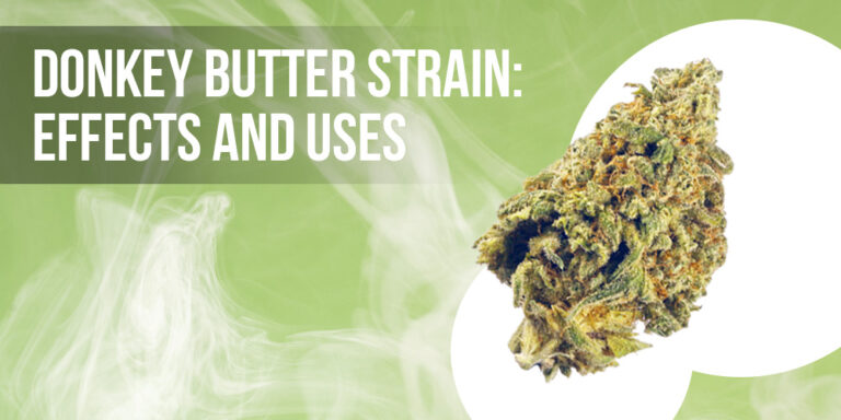 Donkey Butter Strain: Effects and Uses | APE Premium Cannabis