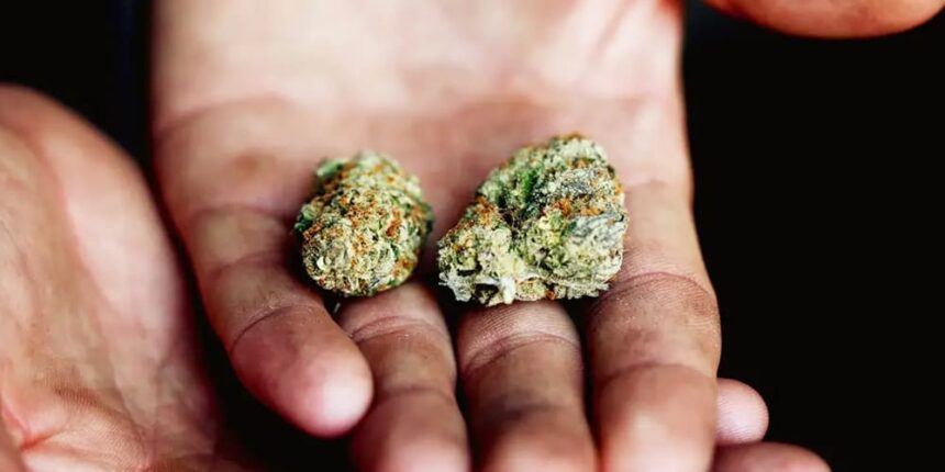 Weed Culture: A Journey Through 1970s | APE Premium Cannabis