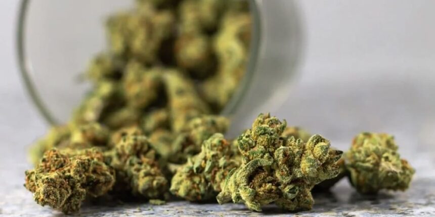 Delta 10 THC Side Effects | APE Premium Cannabis