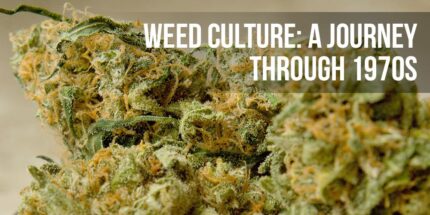 Weed Culture: A Journey Through 1970s | APE Premium Cannabis
