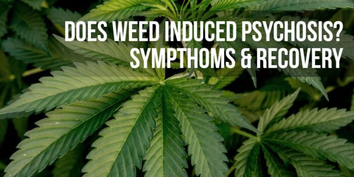 Does weed induced psychosis? Sympthoms & Recovery | APE Premium Cannabis