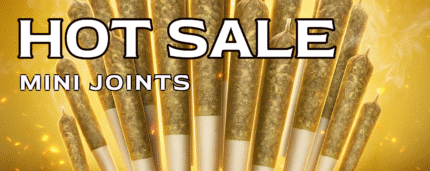 Snowball Weed: Discover the Best Strain – Secrets of Growing, Flavor ...