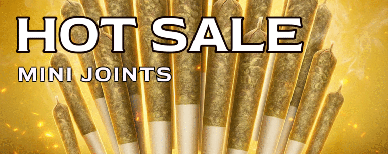 Snowball Weed: Discover the Best Strain – Secrets of Growing, Flavor ...