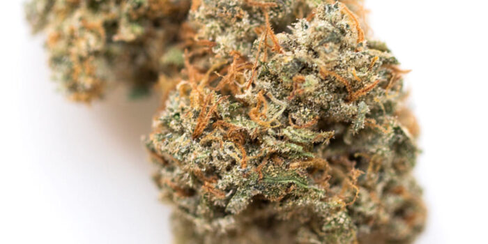 Top 5 Weed Strains in 2025: The Ultimate Expert Guide | APE Premium ...