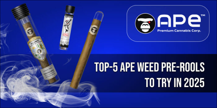 TOP-5 APE Weed pre-rools to Try in 2025 | APE Premium Cannabis