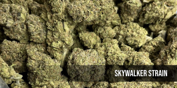 Skywalker Strain | APE Premium Cannabis