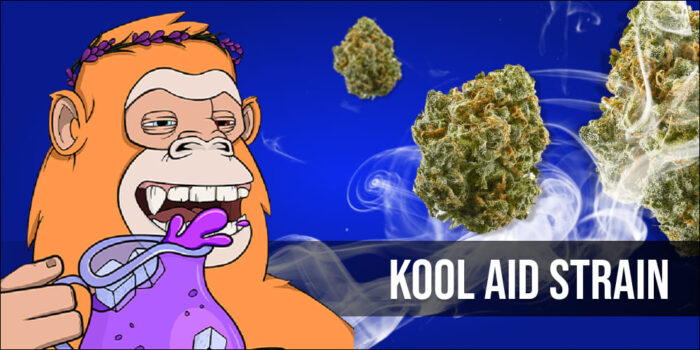 Kool Aid Strain | APE Premium Cannabis