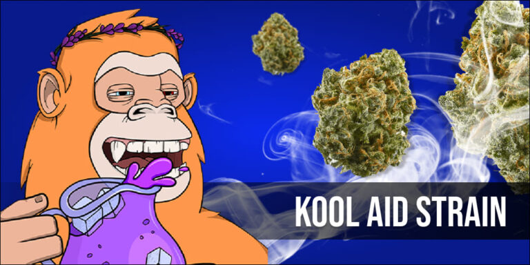 Kool Aid Strain | APE Premium Cannabis