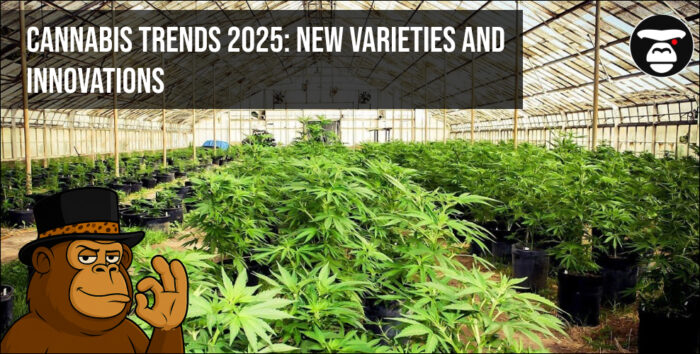 Cannabis trends 2025: new varieties and innovations | APE Premium Cannabis